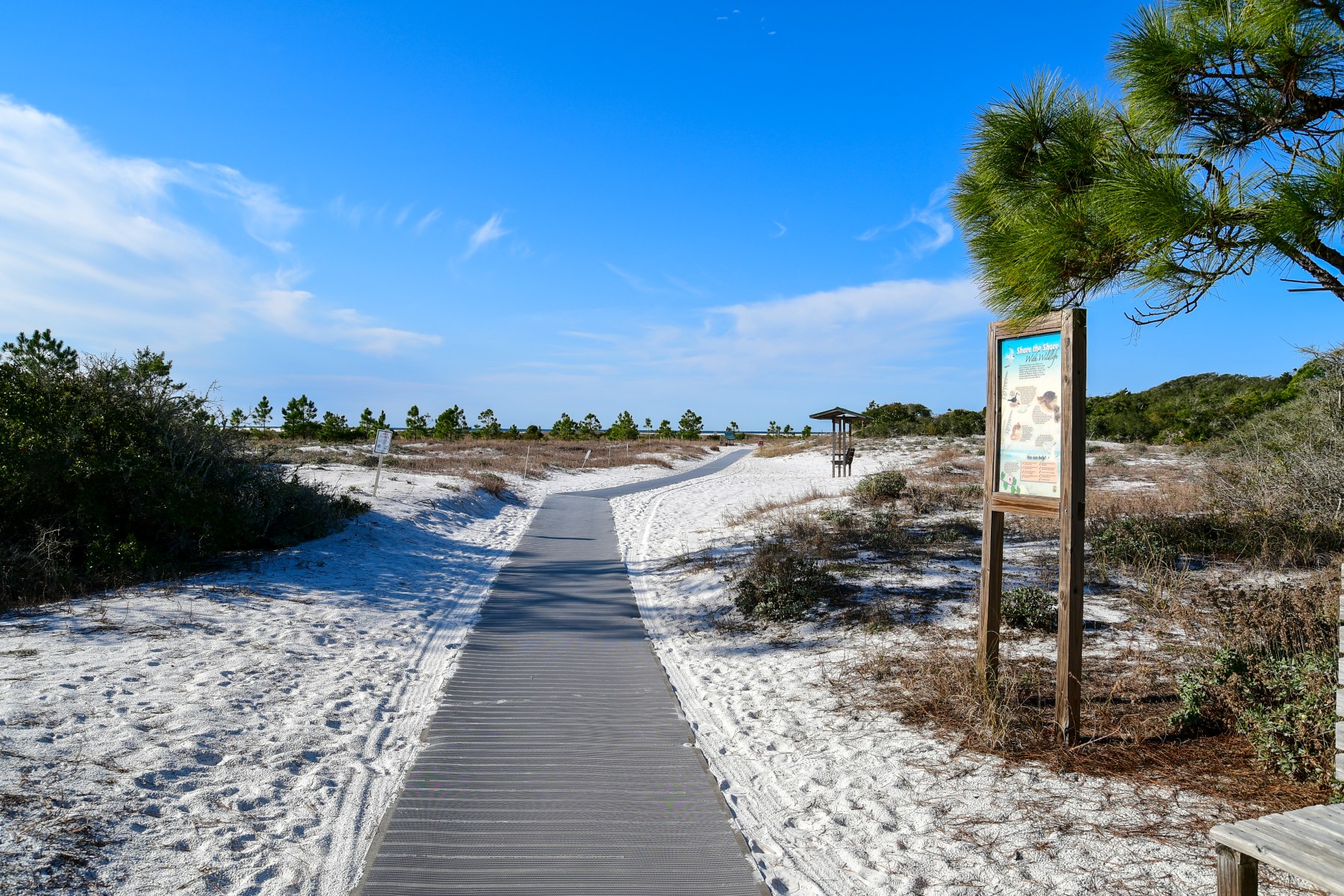 The History of Inlet Beach, Florida (30A) - Latitudes and Attitudes on 30A